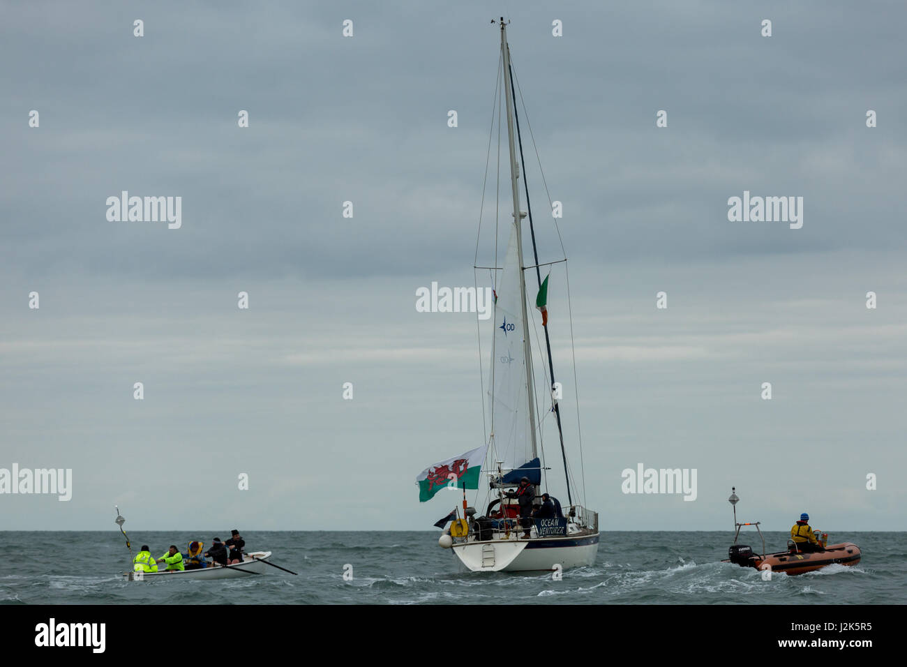 Irish rowing team hi-res stock photography and images - Alamy
