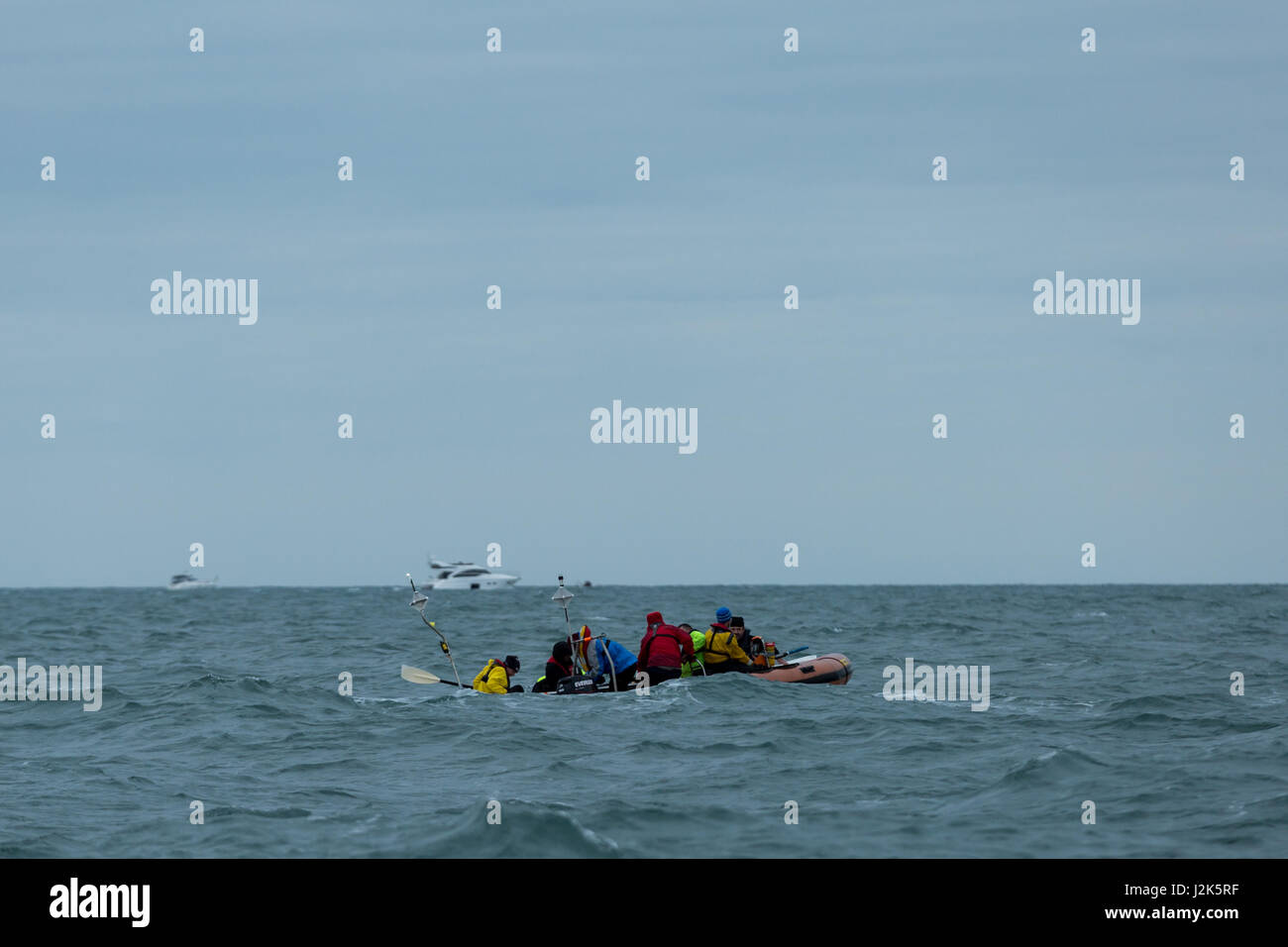 Irish rowing team hi-res stock photography and images - Alamy