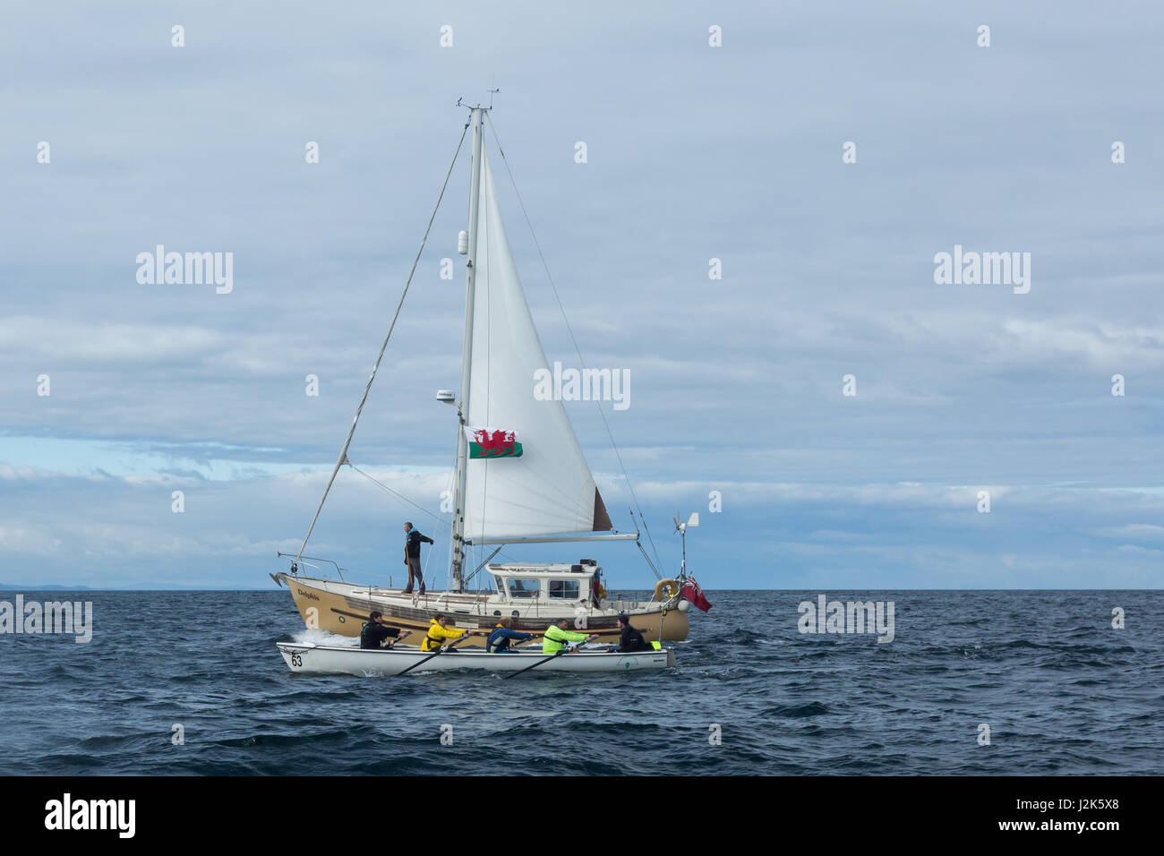 Irish rowers hi-res stock photography and images - Alamy