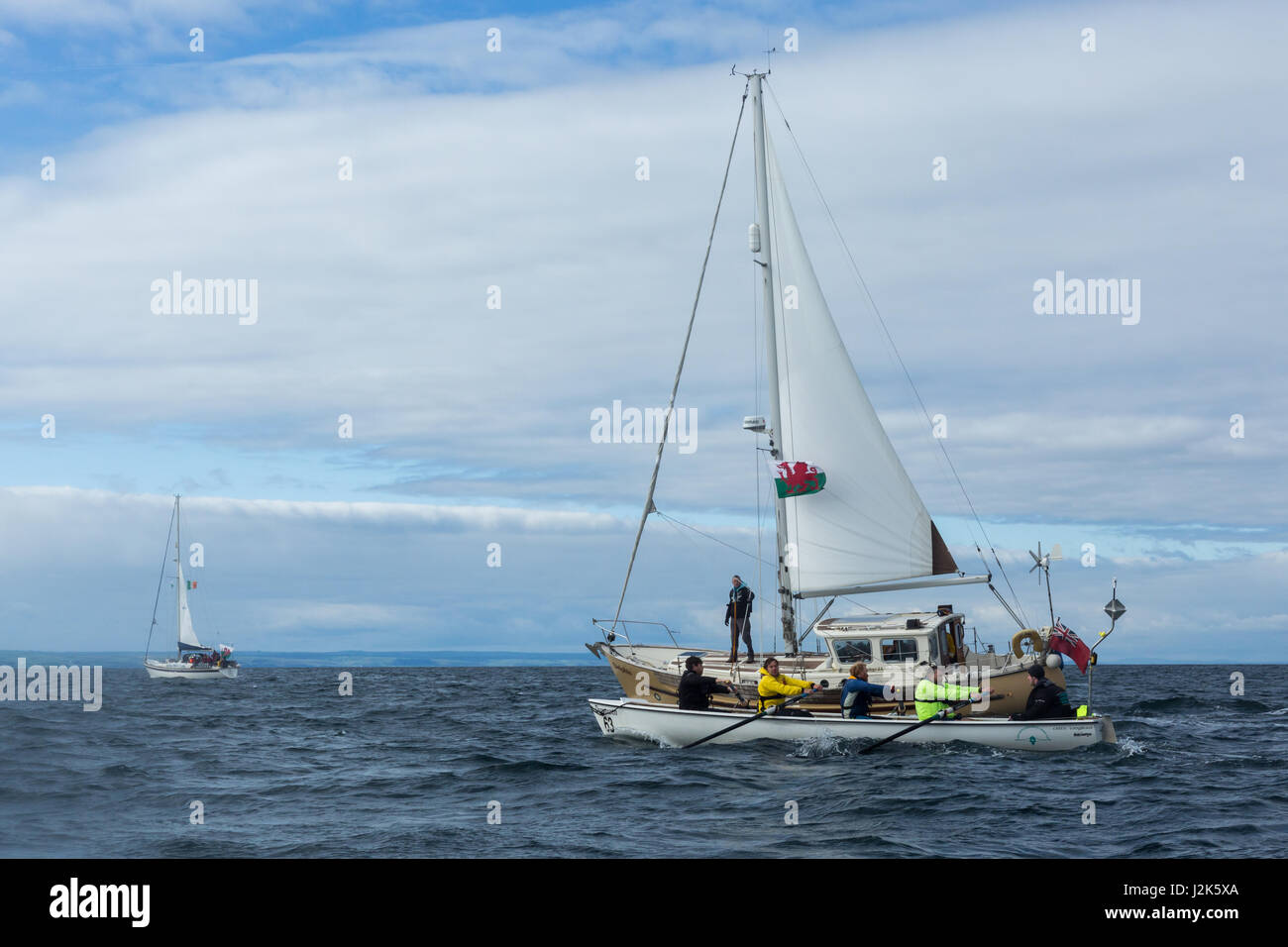 Irish rowers hi-res stock photography and images - Alamy