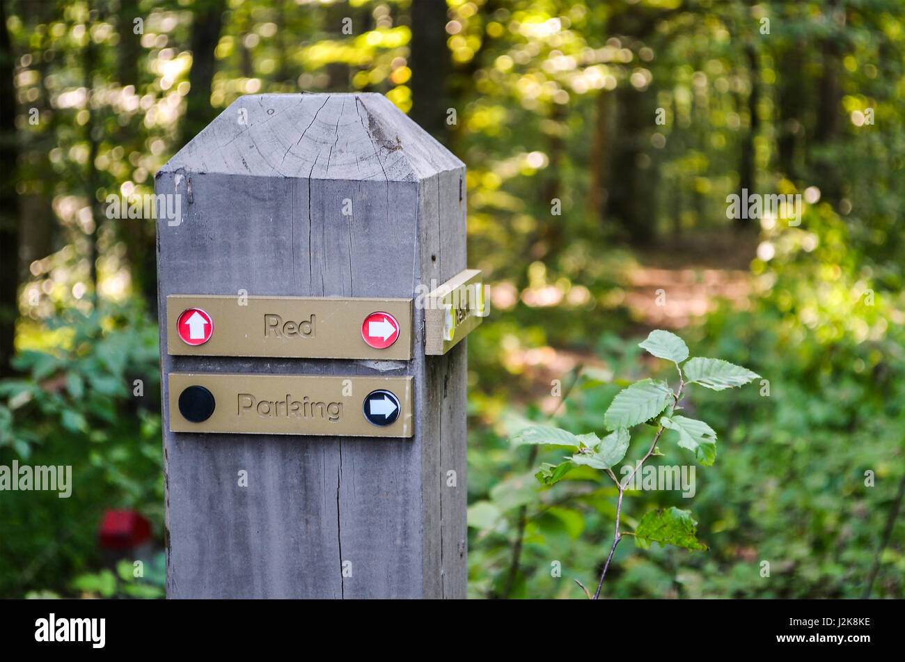 Trail sign post and directions in Ivy Creek Park in Charlottesville ...