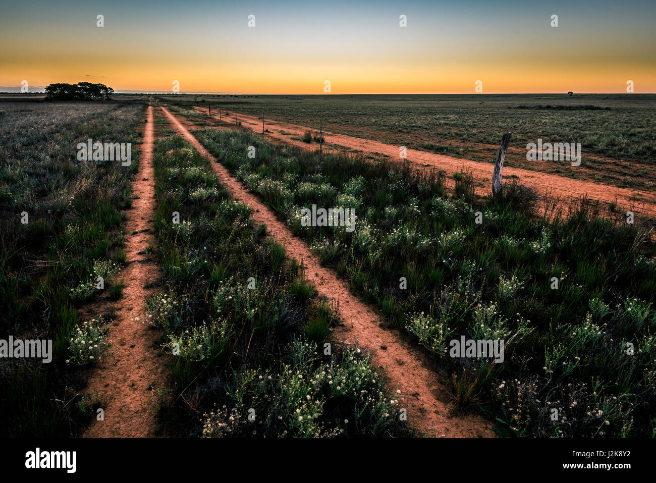 Nullarbor plain hi-res stock photography and images - Alamy