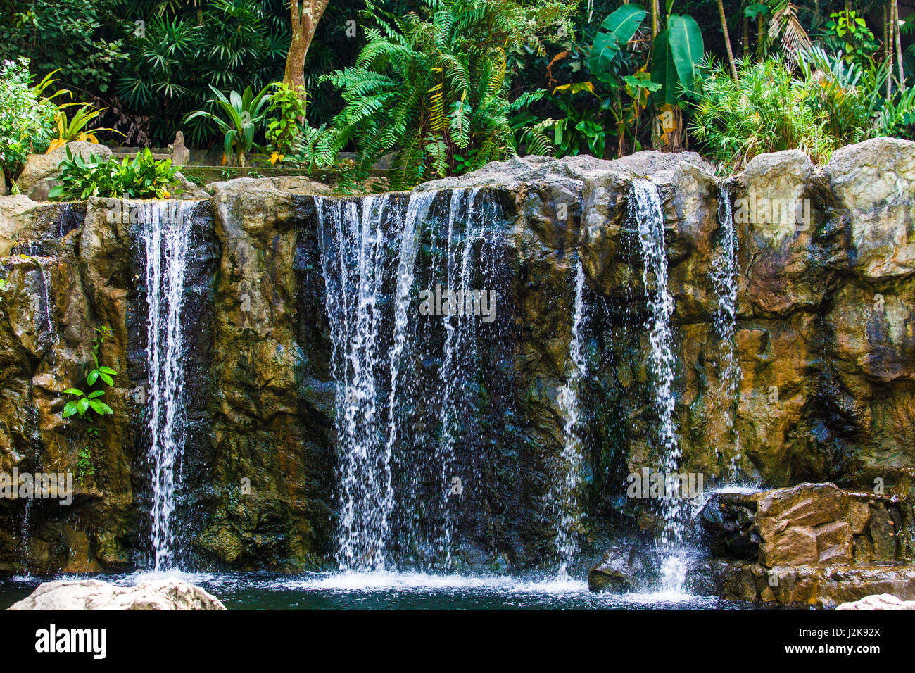 waterfall in the forest Stock Photo - Alamy