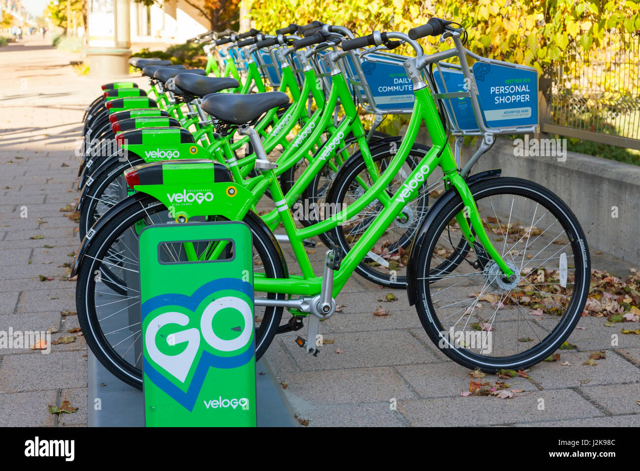 Velogo (Bike Share) bicycles in Hull, Gatineau, Quebec, Canada Stock ...