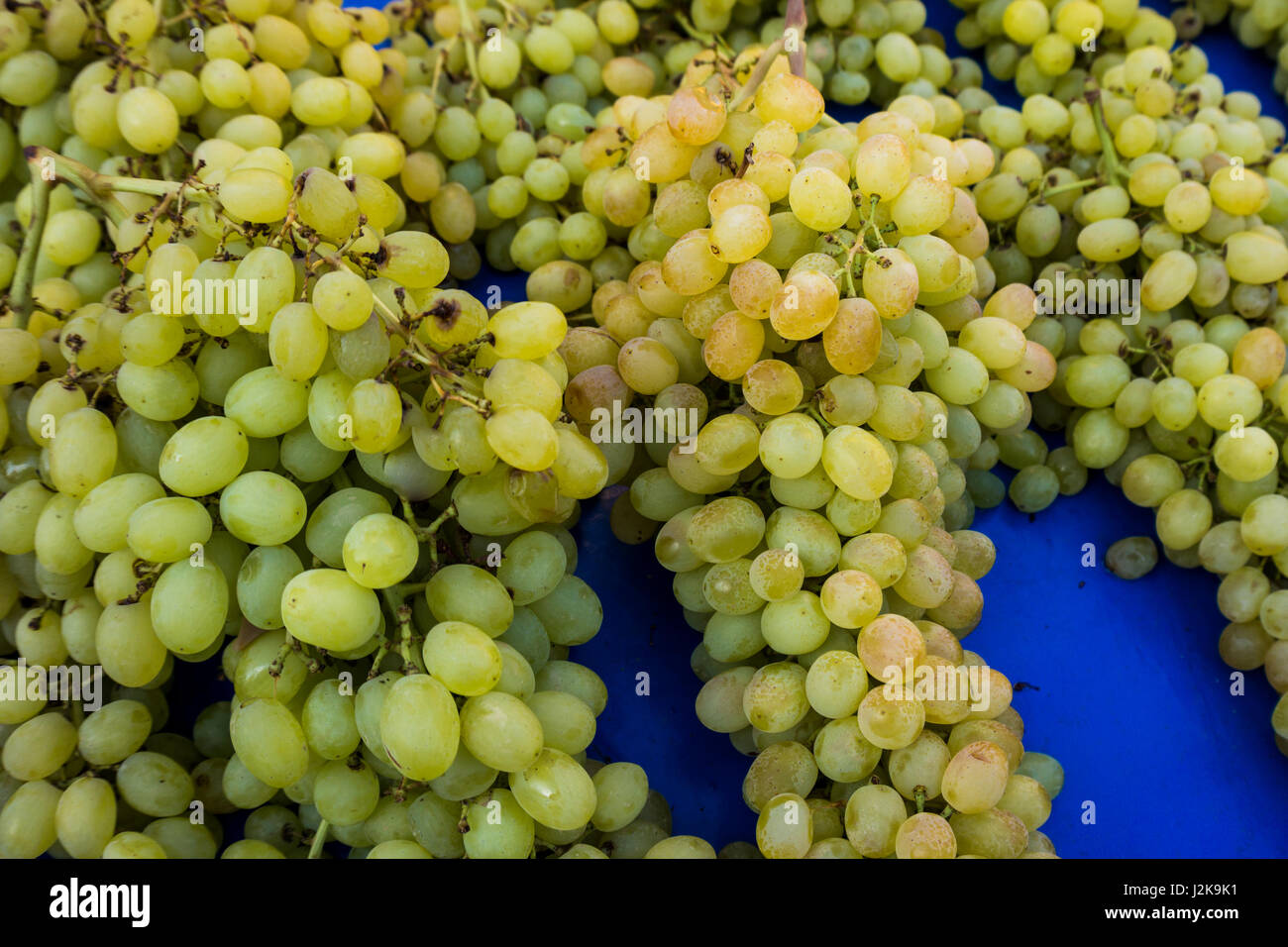 grapes in a market. grape background Stock Photo - Alamy