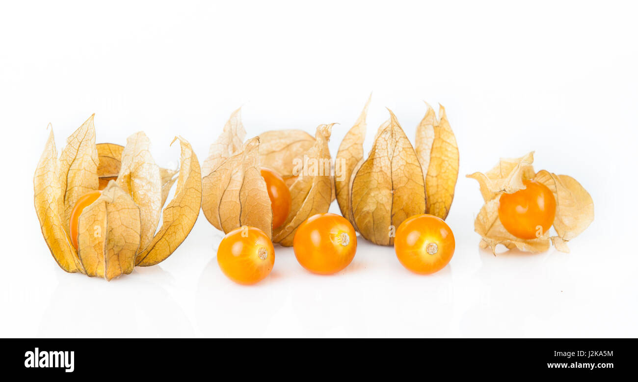 physalis isolated on white background Stock Photo - Alamy