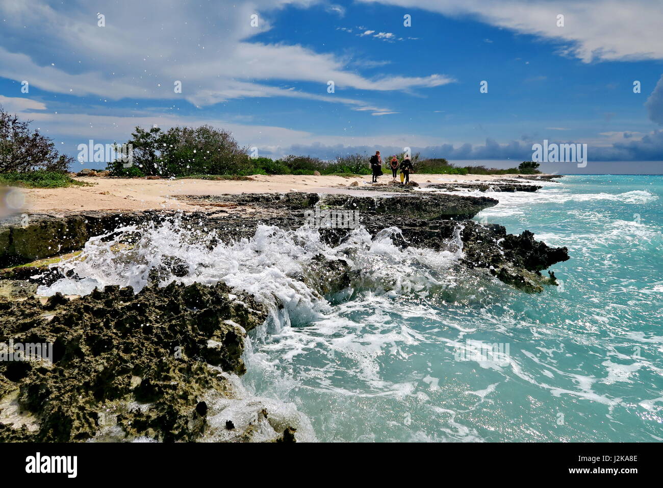 Planning a dive entry Stock Photo - Alamy