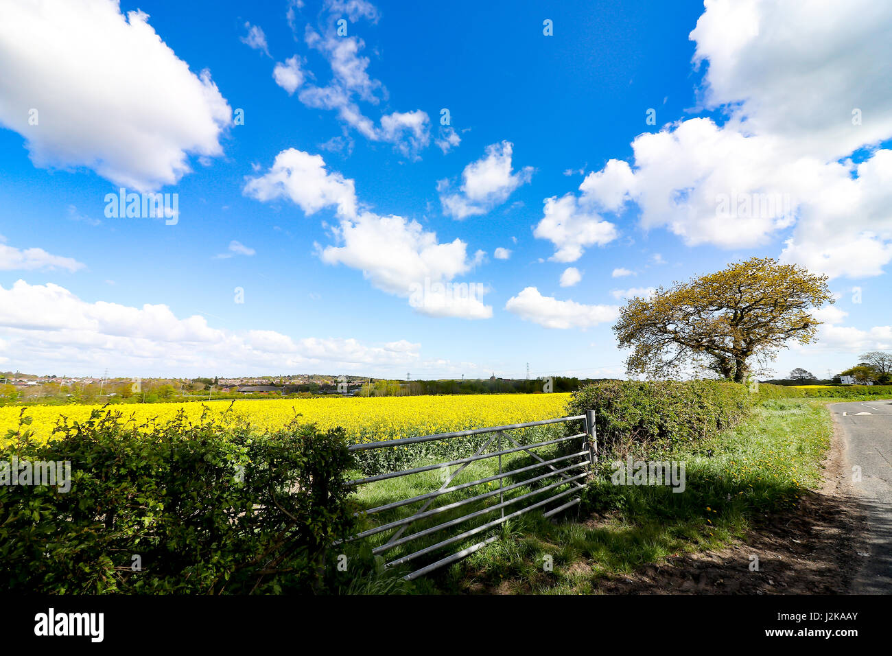 Absract landscapes hi-res stock photography and images - Alamy