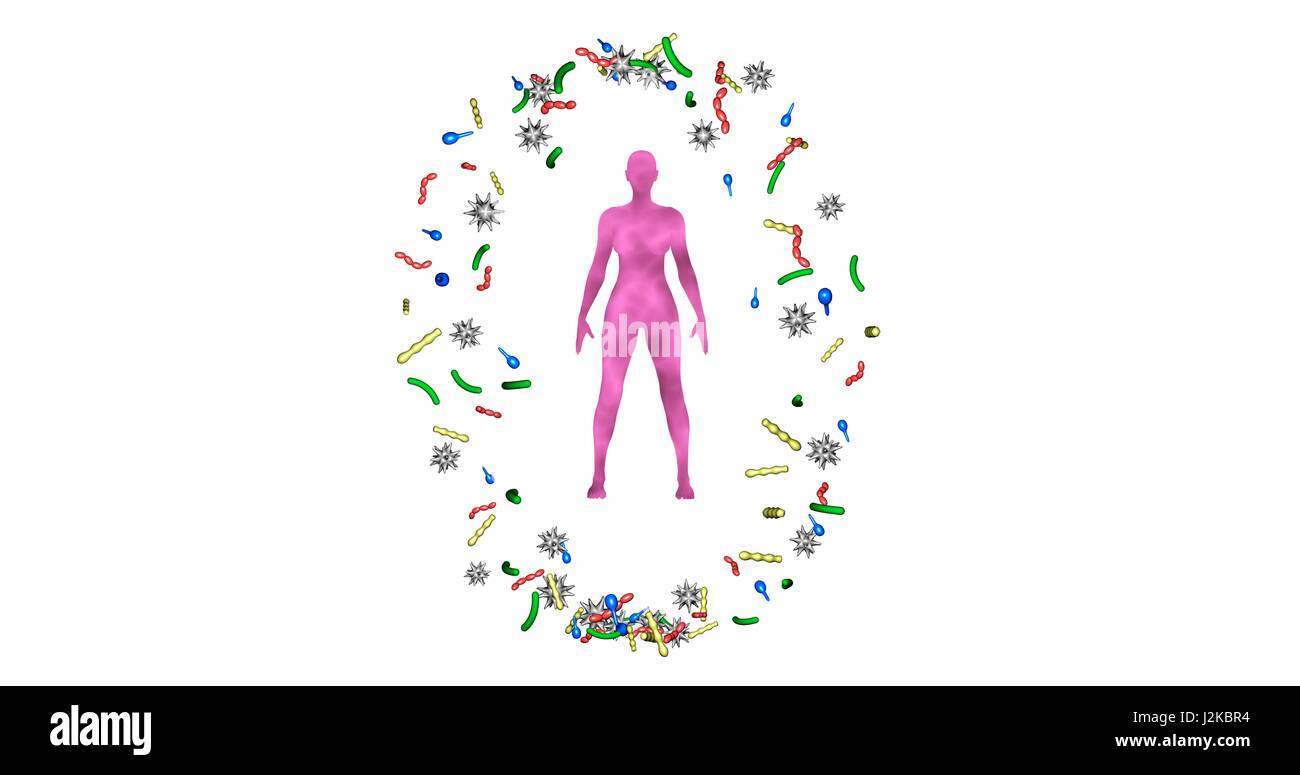 Microbiome bacteria, viruses, microbes inside female body. 3d render ...