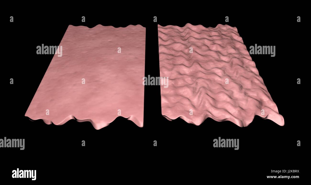 Smooth and wrinkled skin patches. 3d render Stock Photo - Alamy