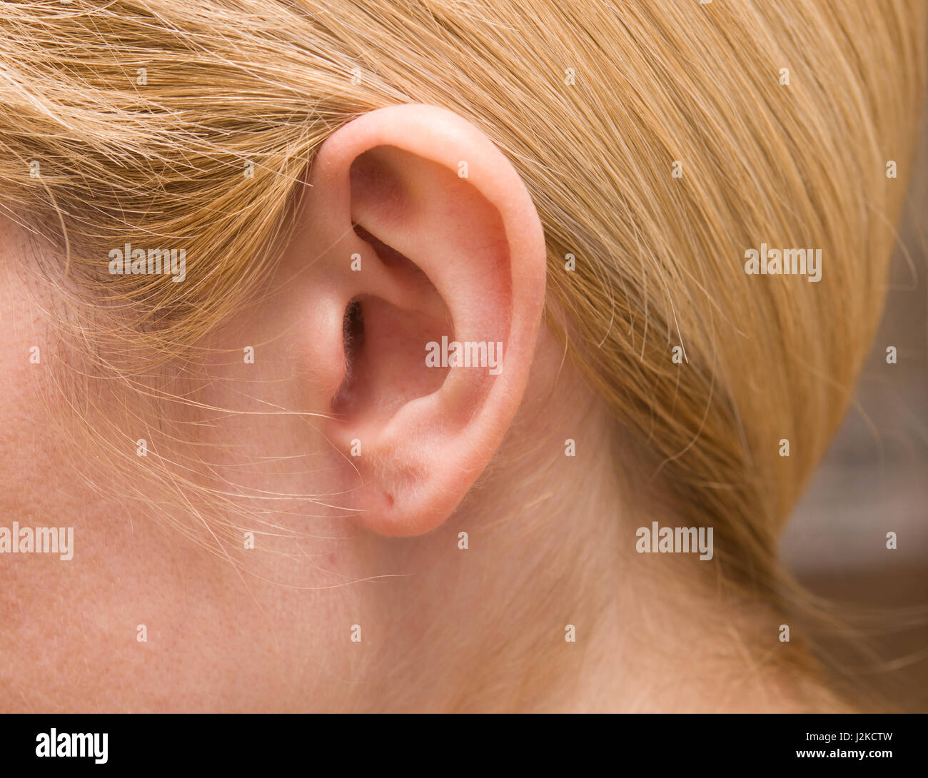 Female ear close-up Stock Photo - Alamy