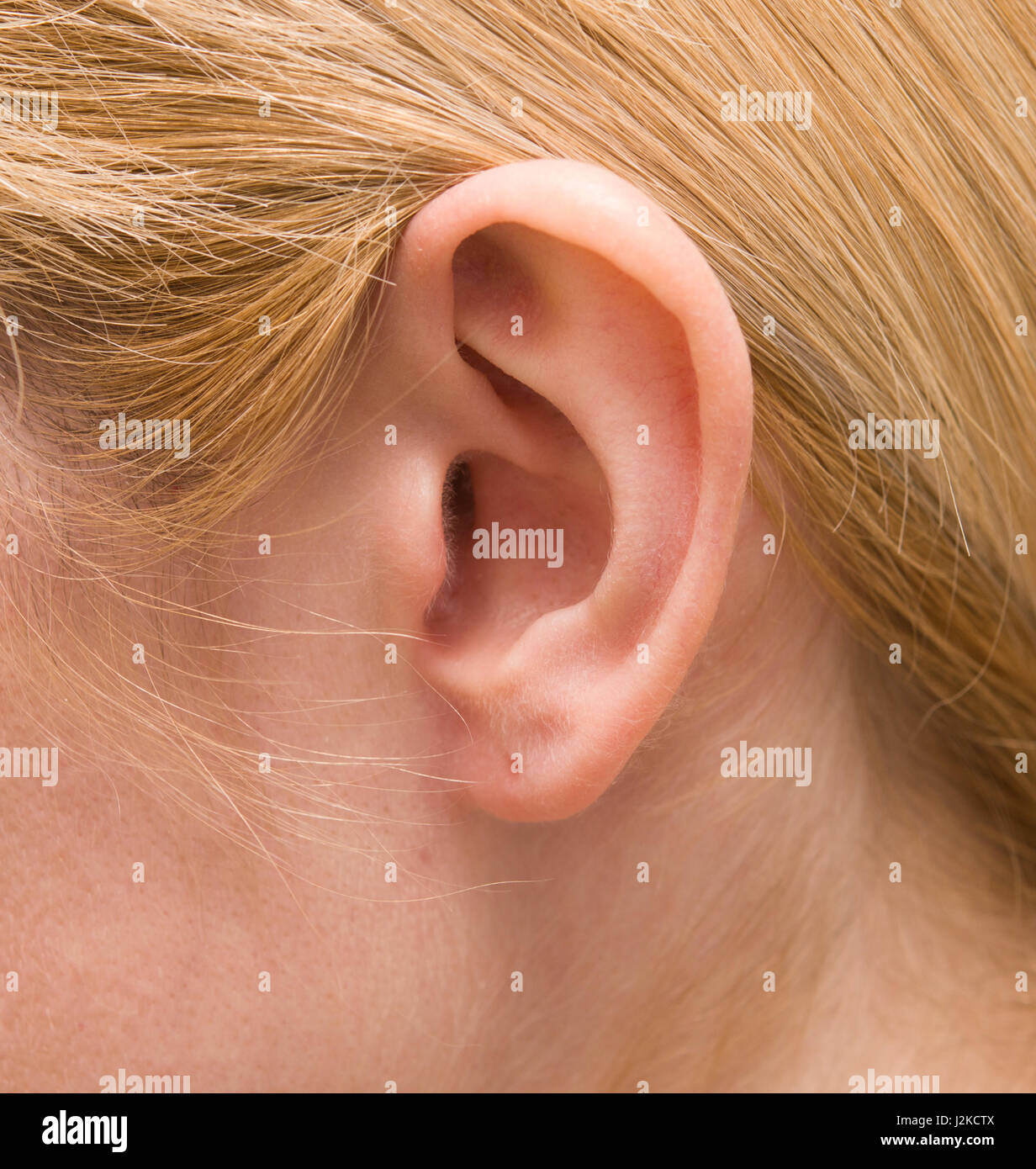 Female ear close-up Stock Photo - Alamy