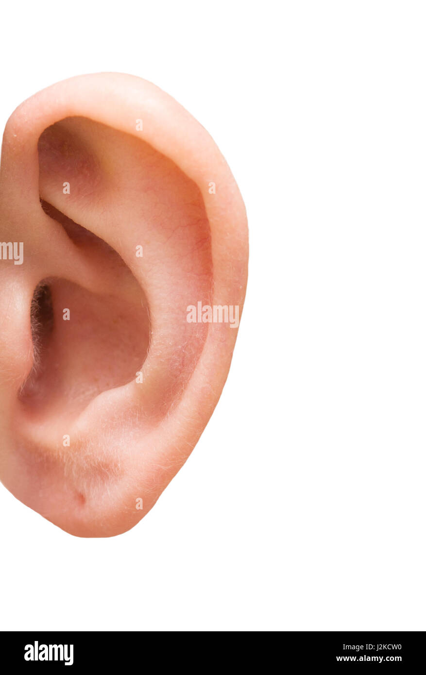 Female ear close-up isolated on a white Stock Photo - Alamy