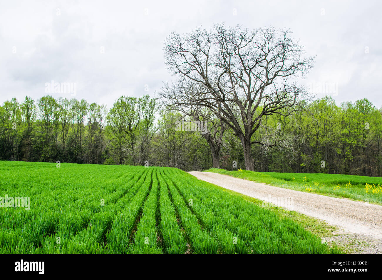 Landscape of lush farmland around southern york county pennsylvania ...