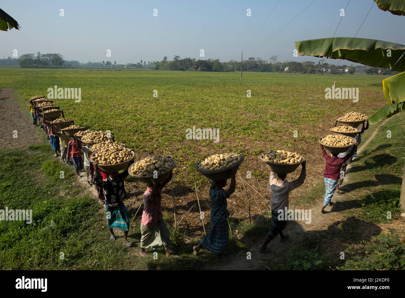 Teamwork business farmer hi-res stock photography and images - Alamy