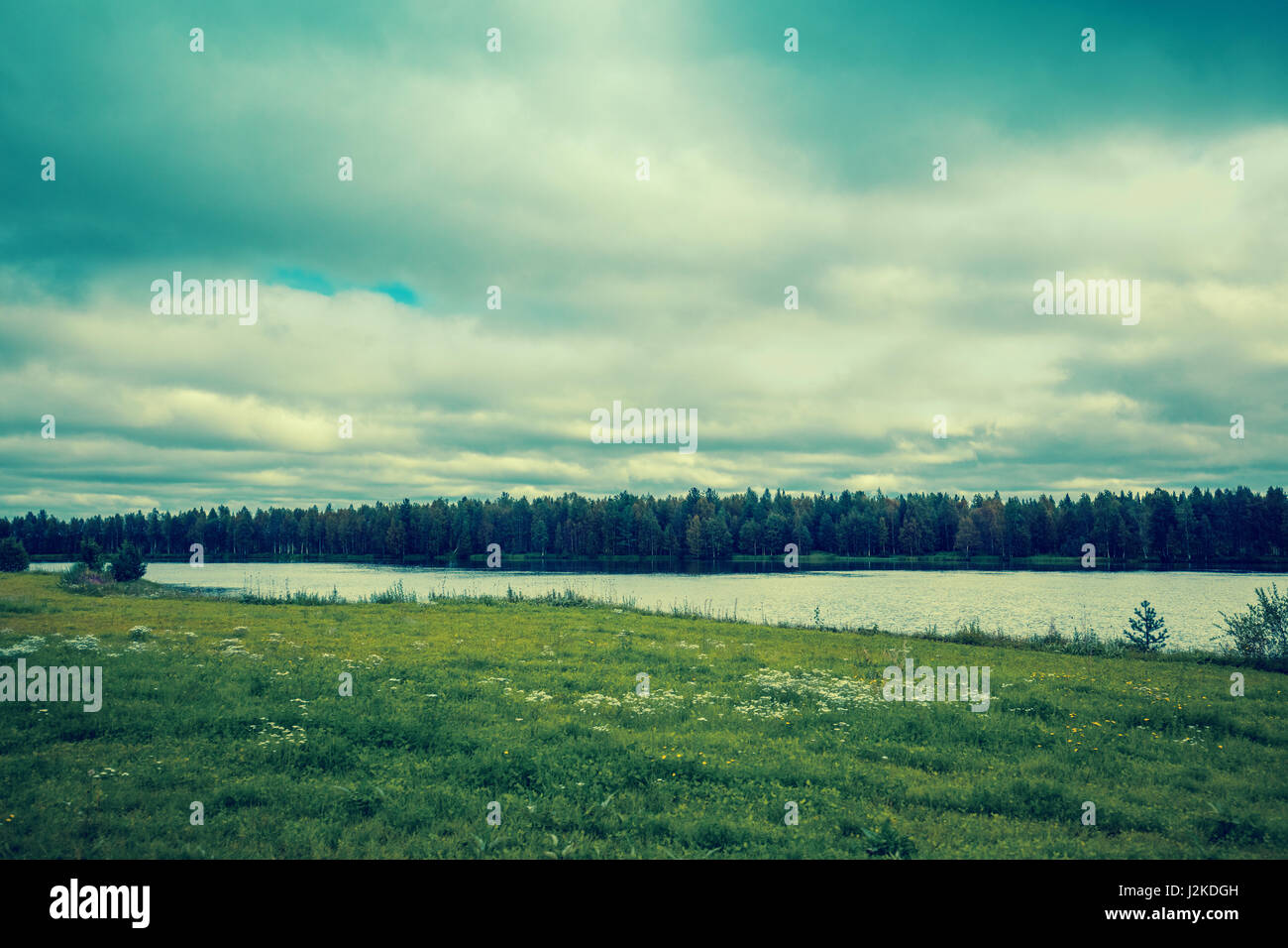 Beautiful nature Finland. Lake shore in evening Stock Photo - Alamy