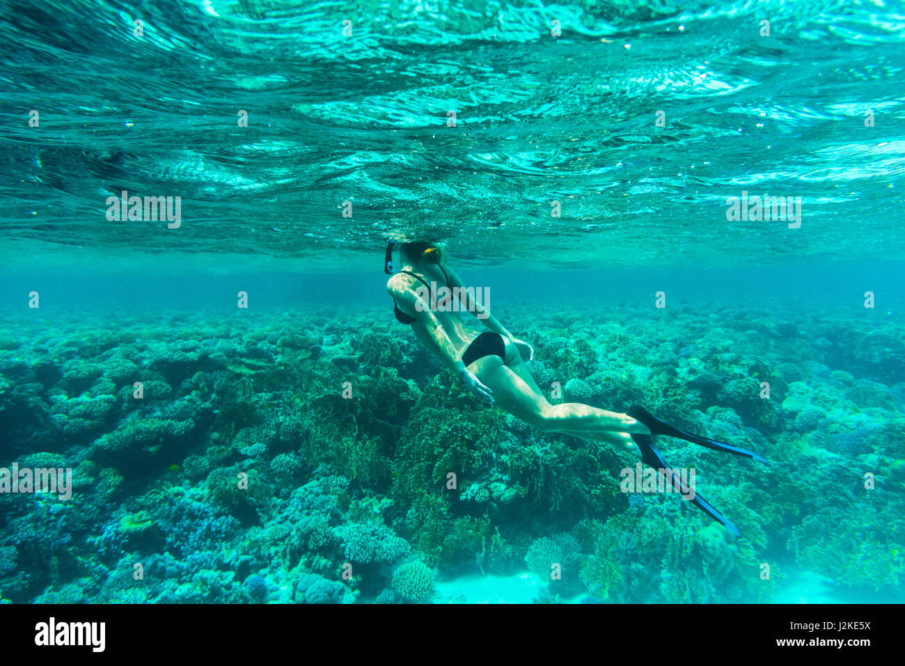 Underwater shot young woman swimming hi-res stock photography and ...