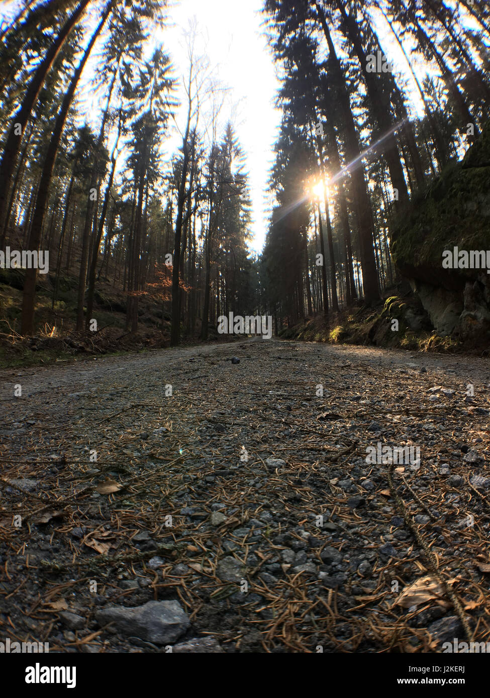 Landscapes, Rocks, great view over the forests. Trekking in the german ...