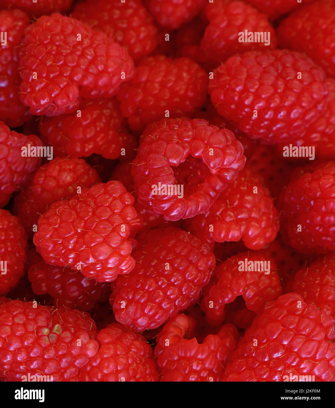 Close up of fresh red ripe raspberries background pattern, high angle ...