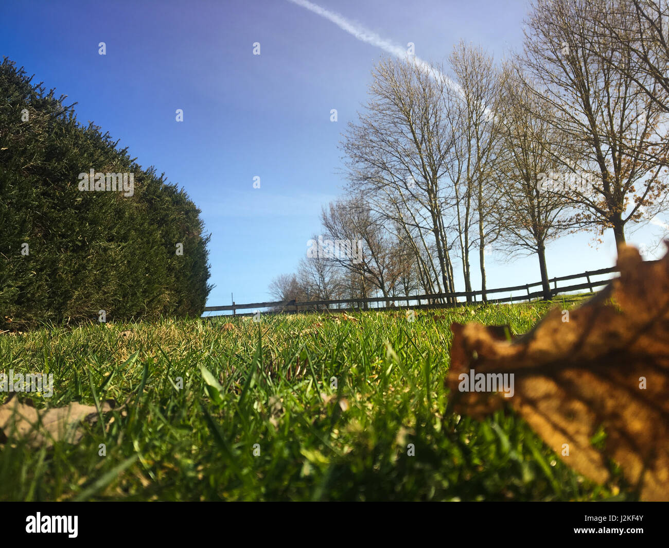 Morining light hi-res stock photography and images - Alamy