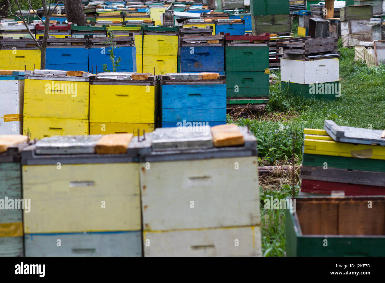 colored beehives in a green garden springtime selective focus Stock ...