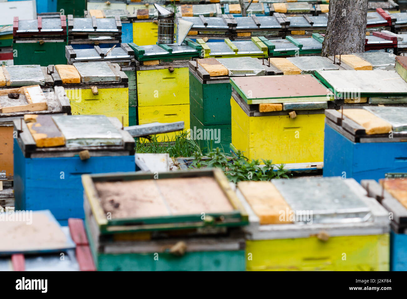 colored beehives in a green garden springtime selective focus Stock ...