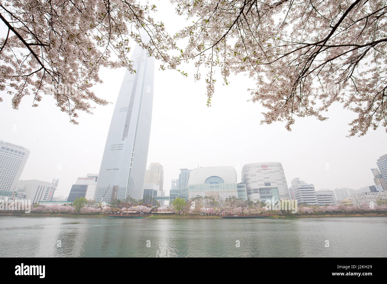 Seokchon Lake Park in Spring with Cherry Blossom Stock Photo - Alamy