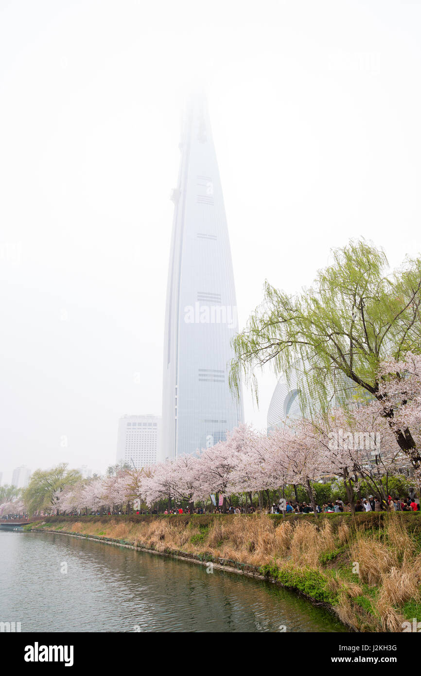 Seokchon Lake Park in Spring with Cherry Blossom Stock Photo - Alamy