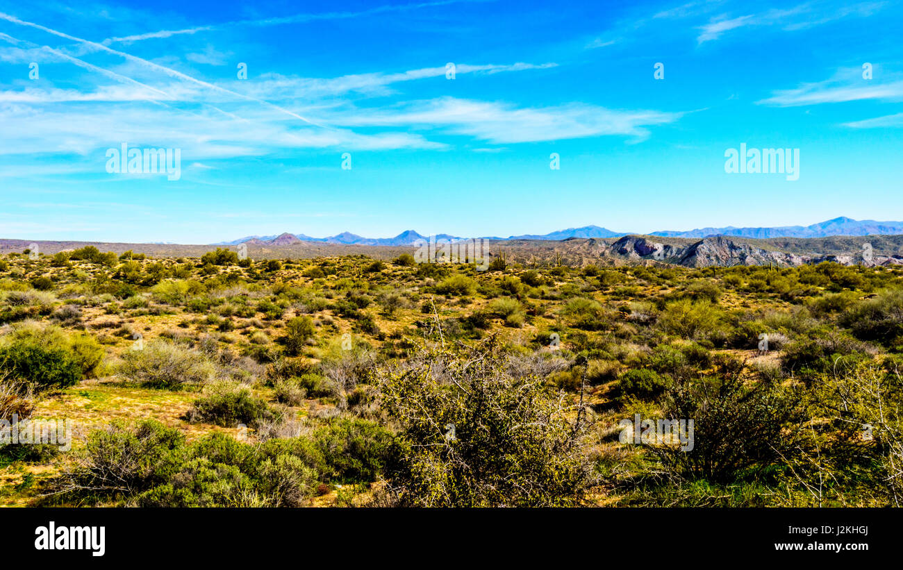 Beautiful desert scenery in the Arizona desert of Tonto Nationa Forest ...