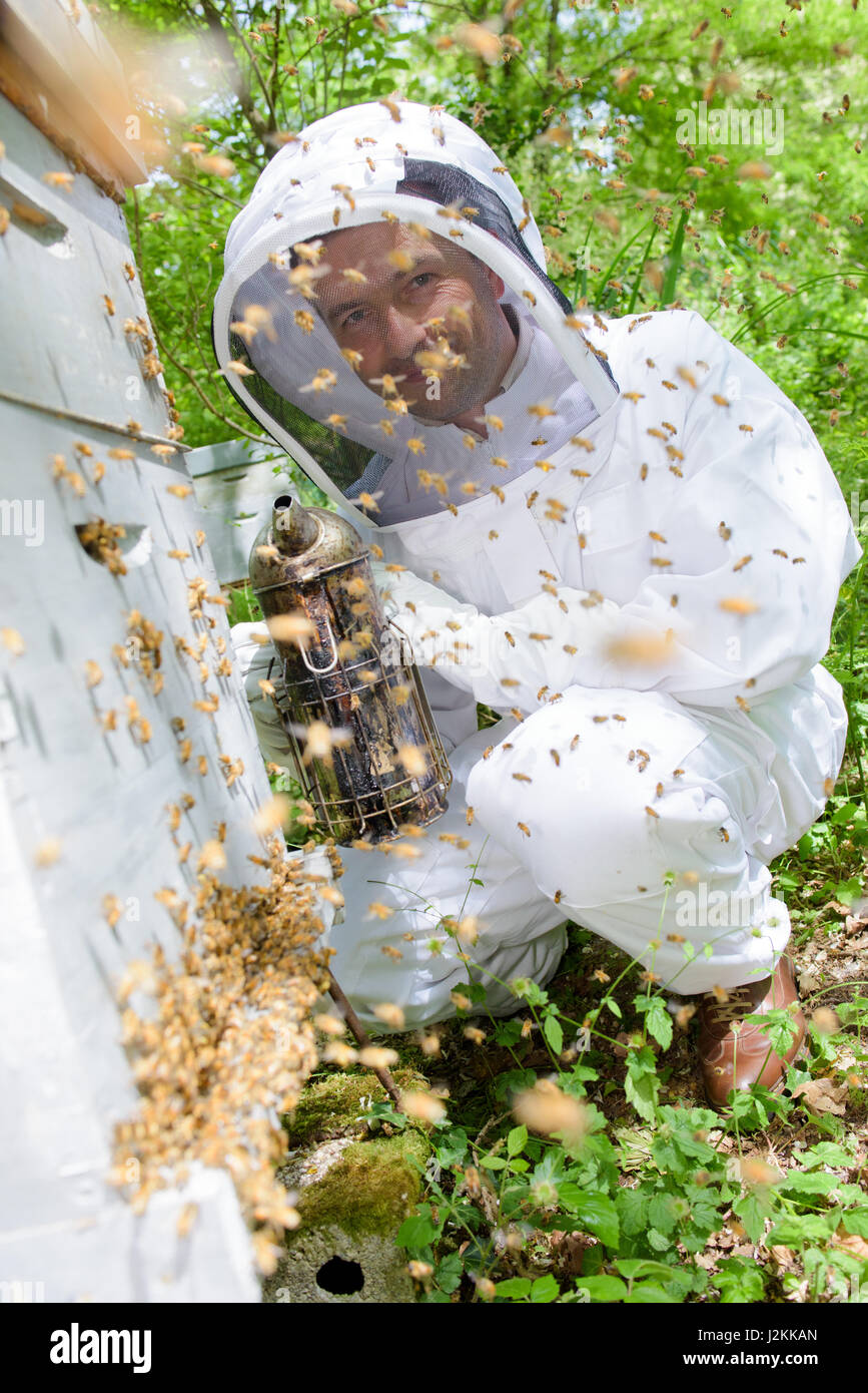 Smoking bees hi-res stock photography and images - Alamy
