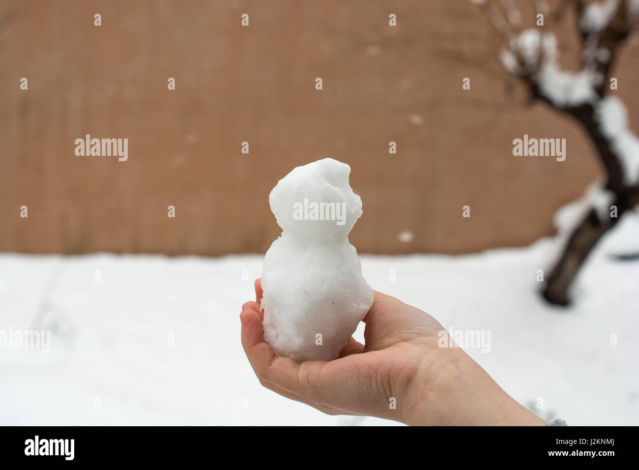 Hand hoding hi-res stock photography and images - Alamy