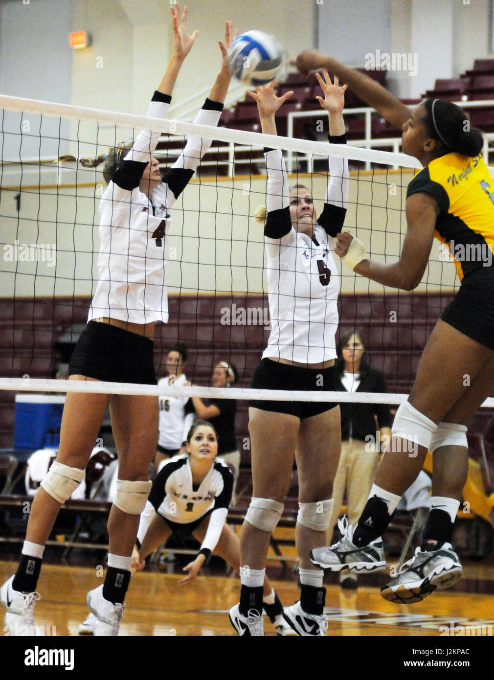 Volleyball Spike Block High Resolution Stock Photography and Images - Alamy