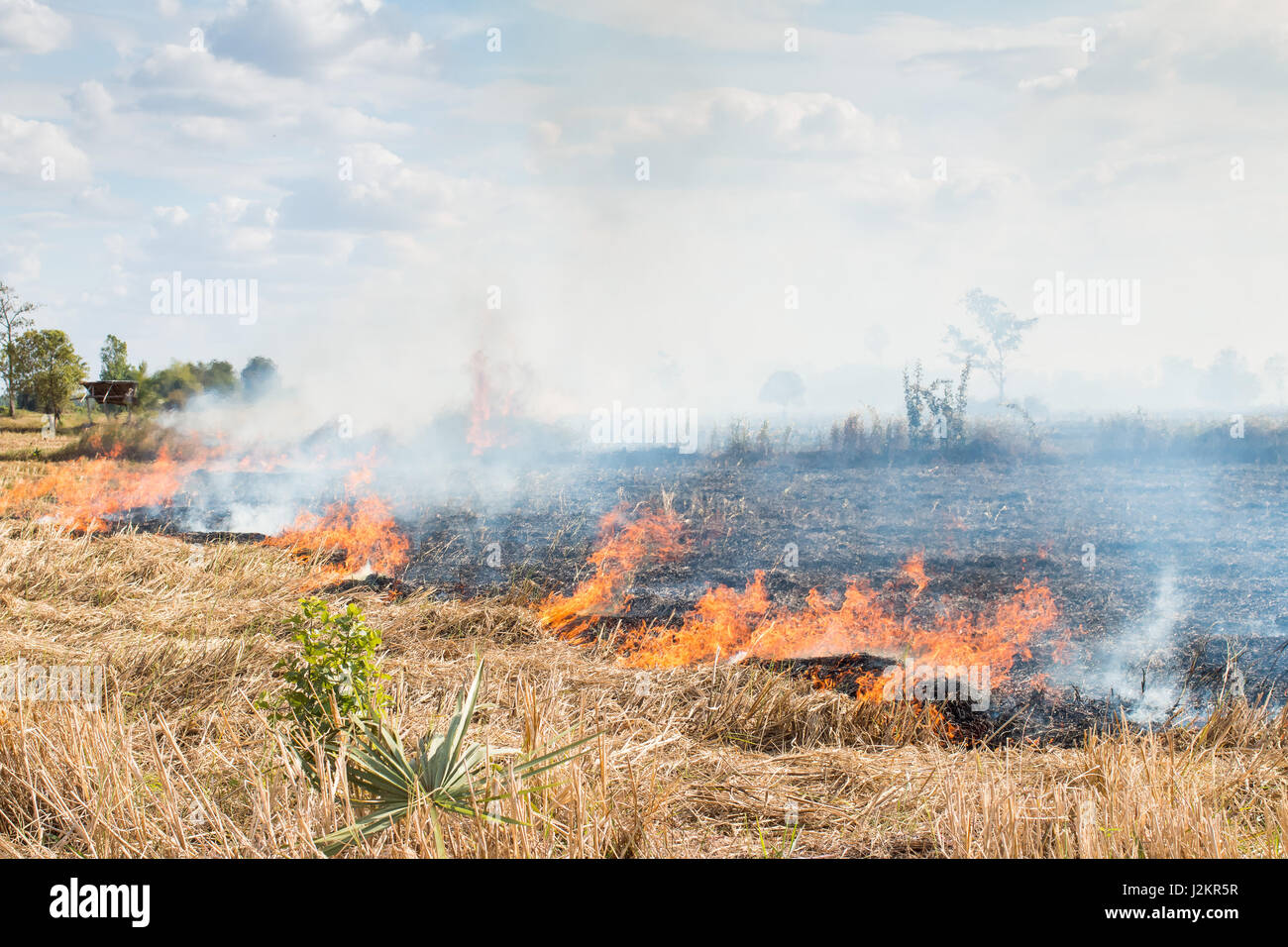Fires in the dry season After harvest Stock Photo - Alamy