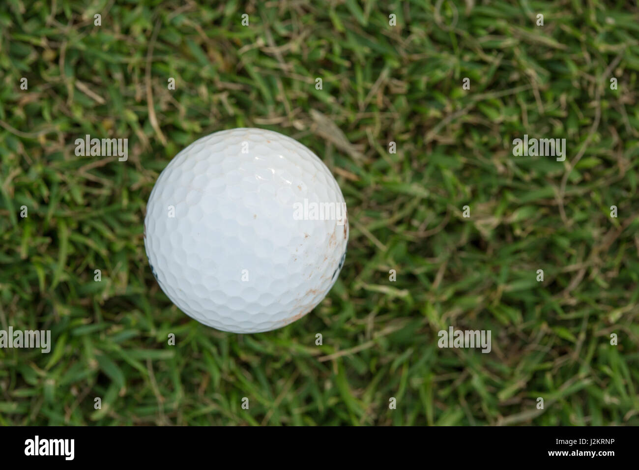 Golf Ball and Golf Club on grass Stock Photo - Alamy