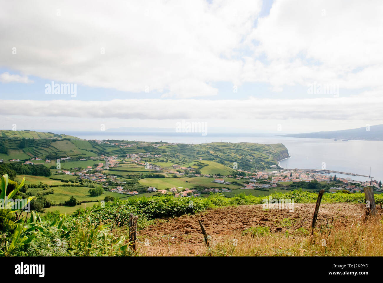 Azores hydrangea farm hi-res stock photography and images - Alamy