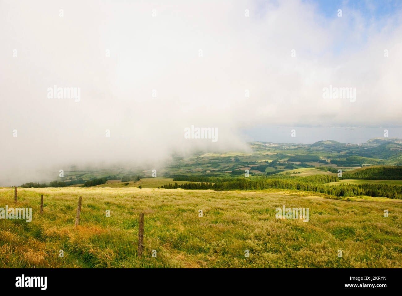 Azores hydrangea farm hi-res stock photography and images - Alamy