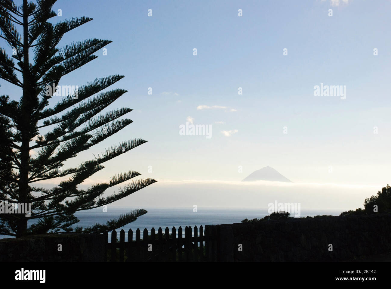 Pico mountain with tree silhouette, Azores, Portugal Stock Photo - Alamy