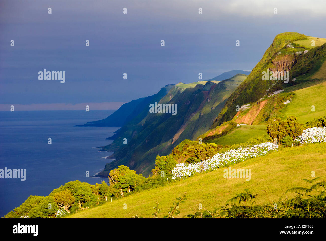 Afternoon view over cliffs of Sao Jorge island, Azores Stock Photo - Alamy
