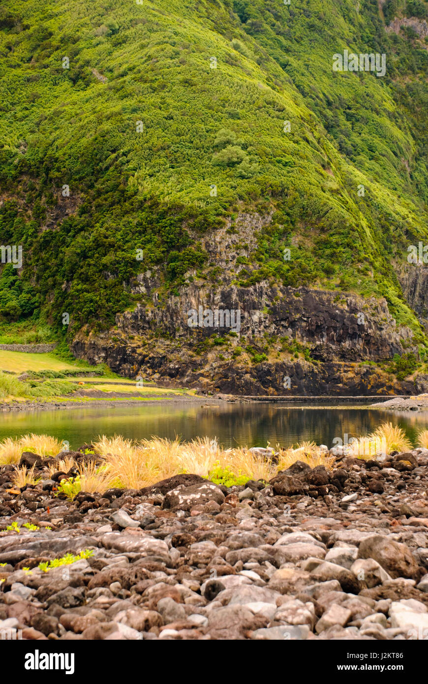 Water lagoon in Faja, Sao Jorge island, Azores Stock Photo - Alamy