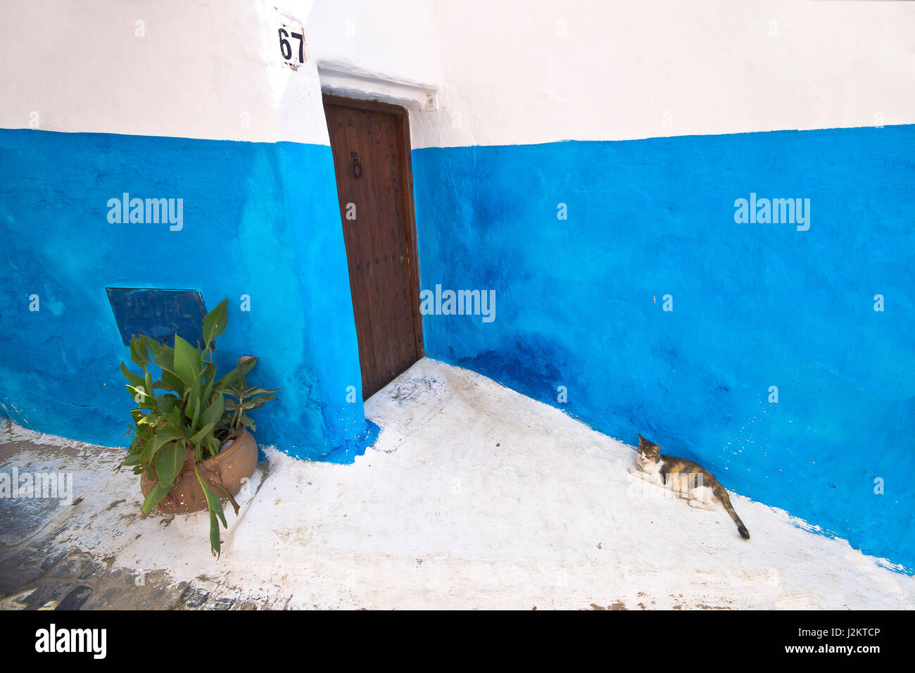 Cat beside house Stock Photo - Alamy