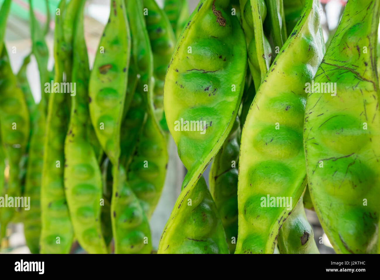 Petai, Bitter Beans Stock Photo - Alamy
