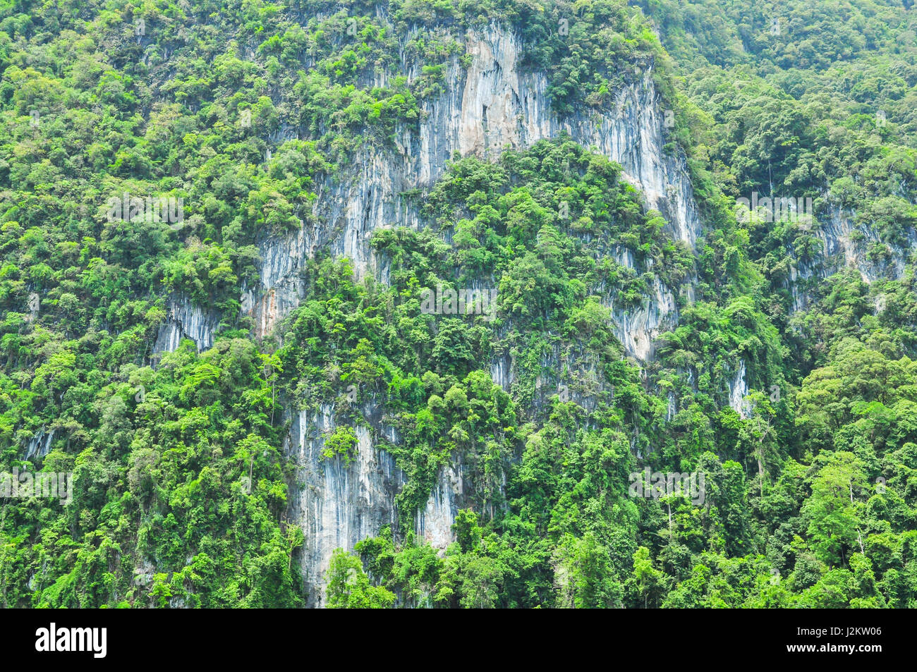 Huge limestone cliffs rising out of open lake at Khao Sok National Park ...