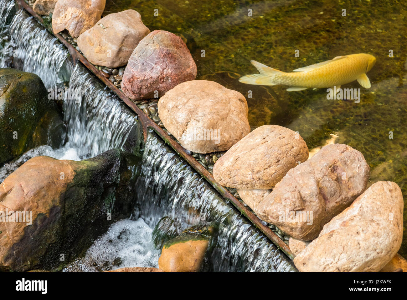 Garden stone trough water hi-res stock photography and images - Alamy