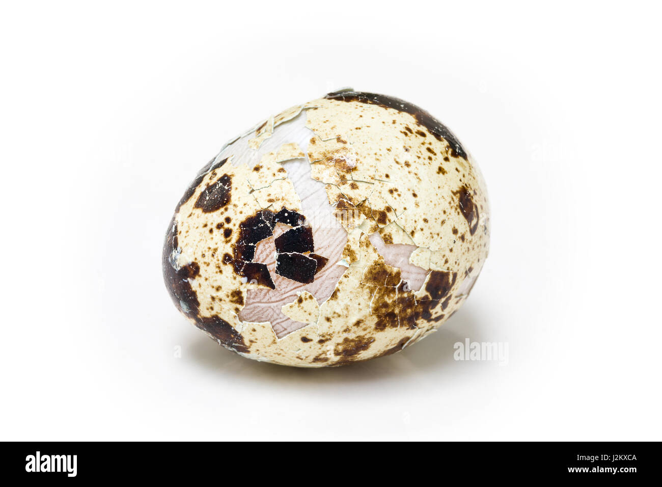 Studio shot of cracked quail egg isolated on white background Stock ...