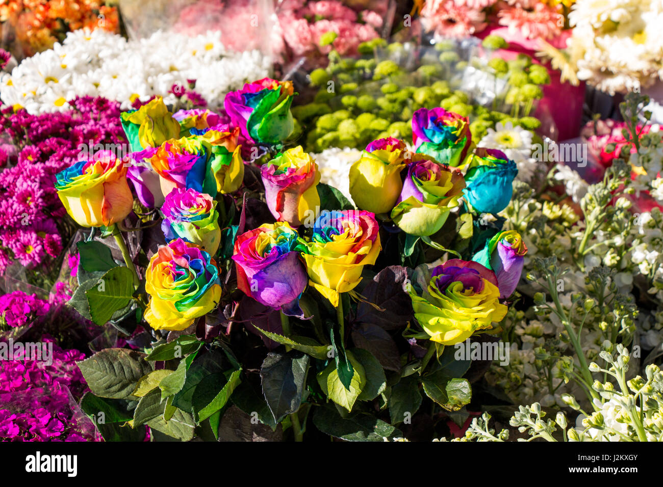 Beautiful fresh flowers as a nature background Stock Photo - Alamy