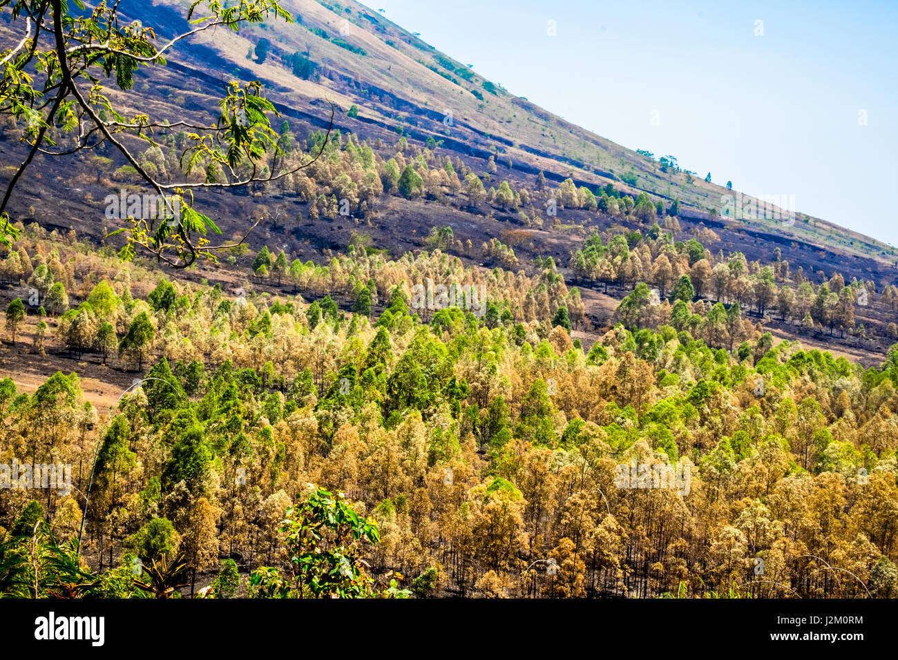 Ebulobo Volcano High Resolution Stock Photography and Images - Alamy
