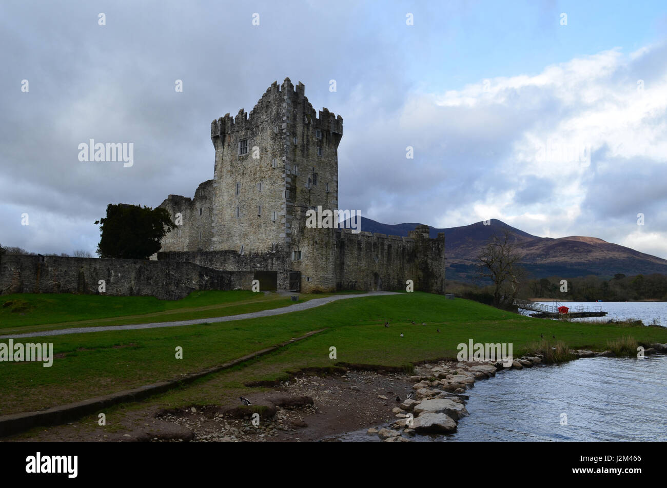 Stone castle ruins in Killarney National Park Ireland Stock Photo - Alamy