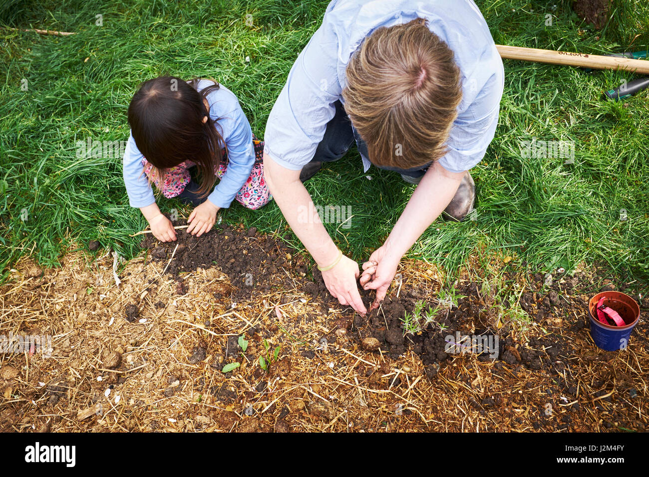 Mother and young daughter planting with their fingers at a British ...