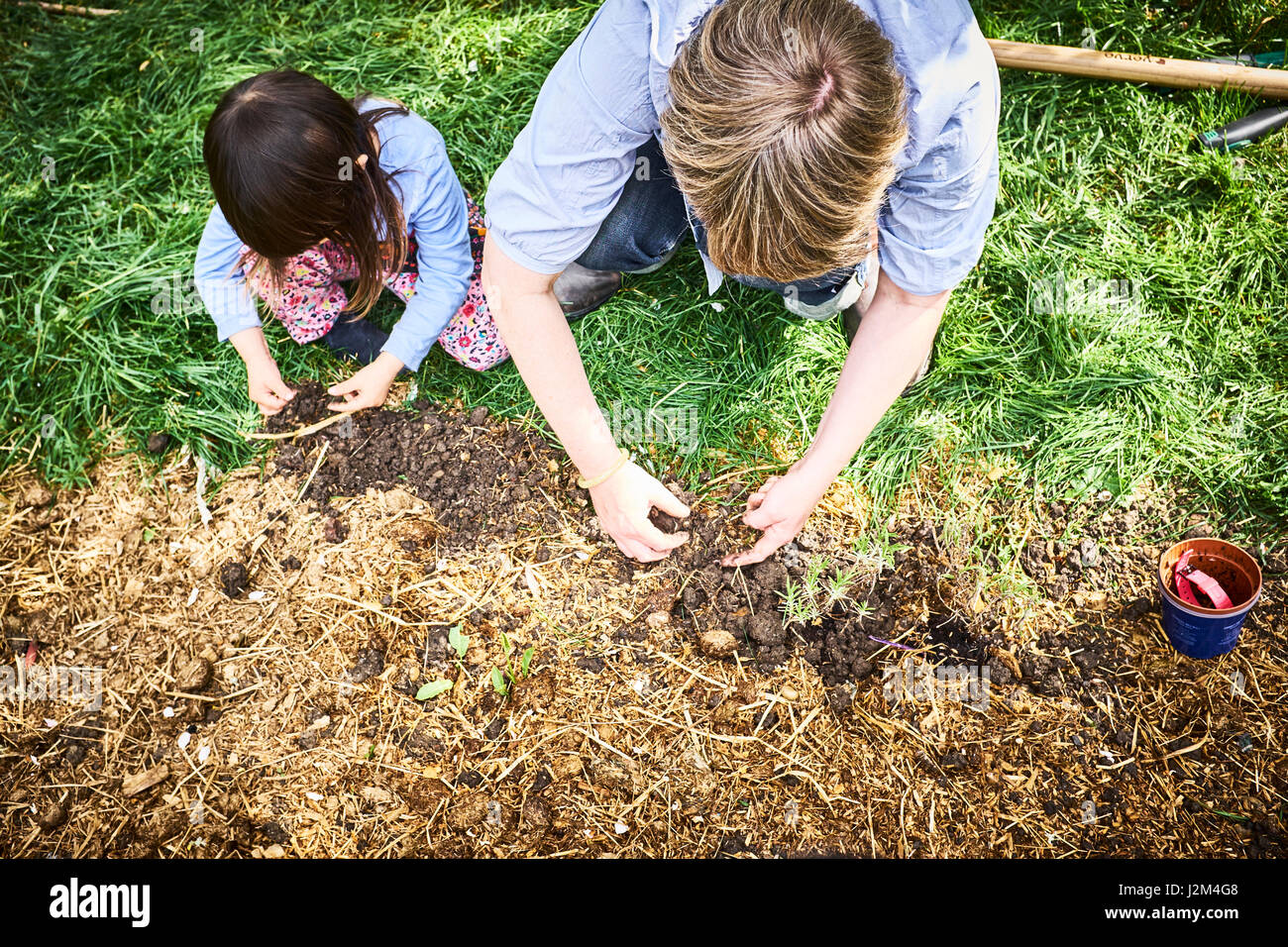 Mother and young daughter planting with their fingers at a British ...