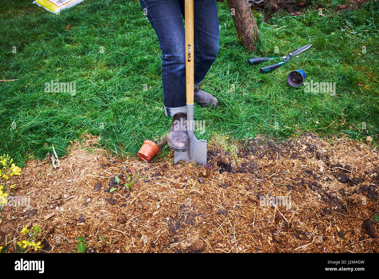 Woman digging hi-res stock photography and images - Alamy